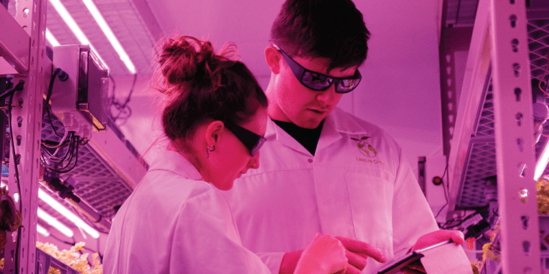 Unlocking the Power of AWS - Your Guide to CloudUplift: AWS for All